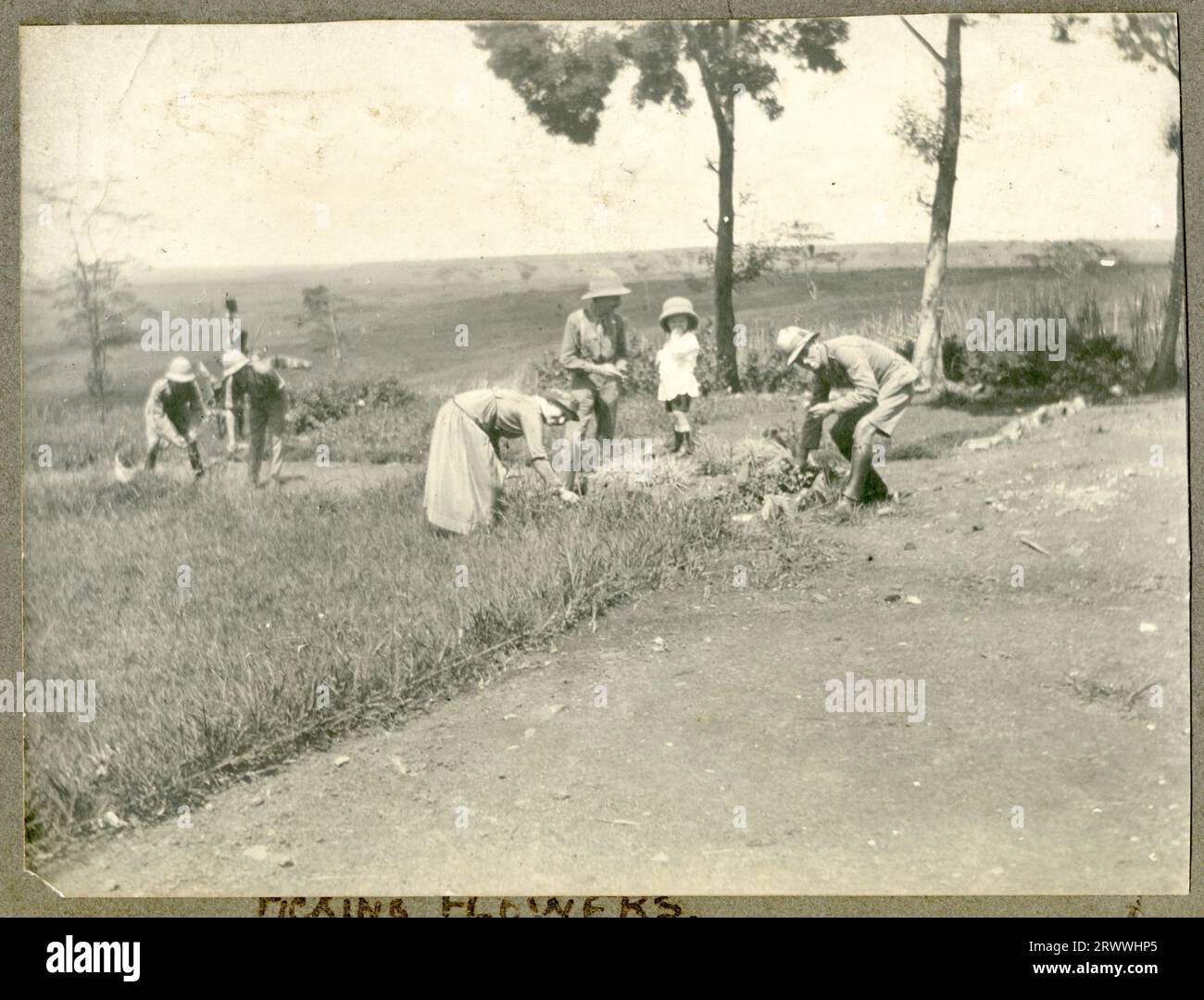 View of open landscape around the shore of Lake Victoria, with small ...