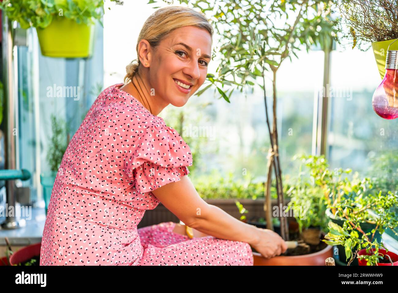 Olive tree on balcony hi-res stock photography and images - Alamy
