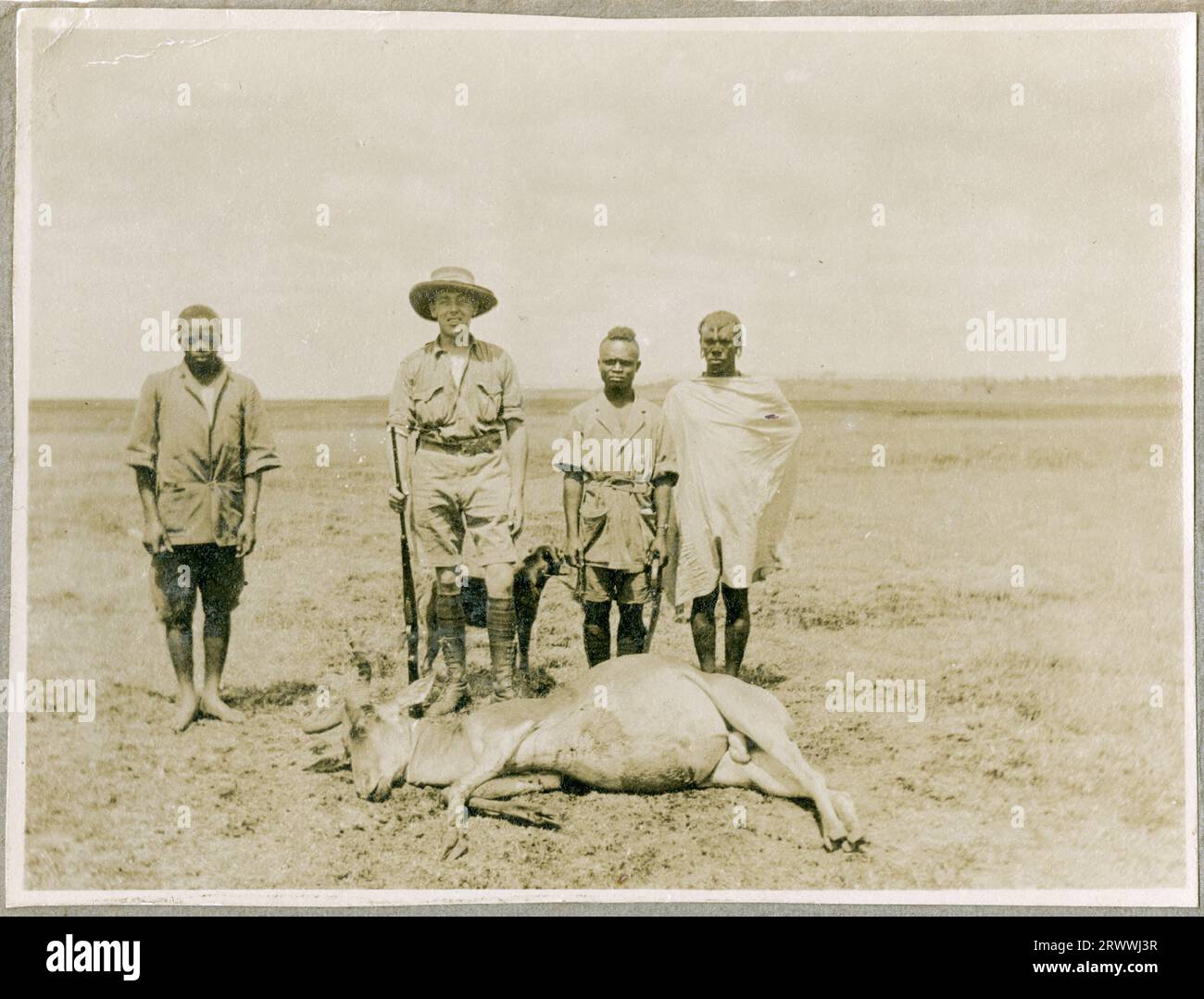 Bungey hi-res stock photography and images - Alamy