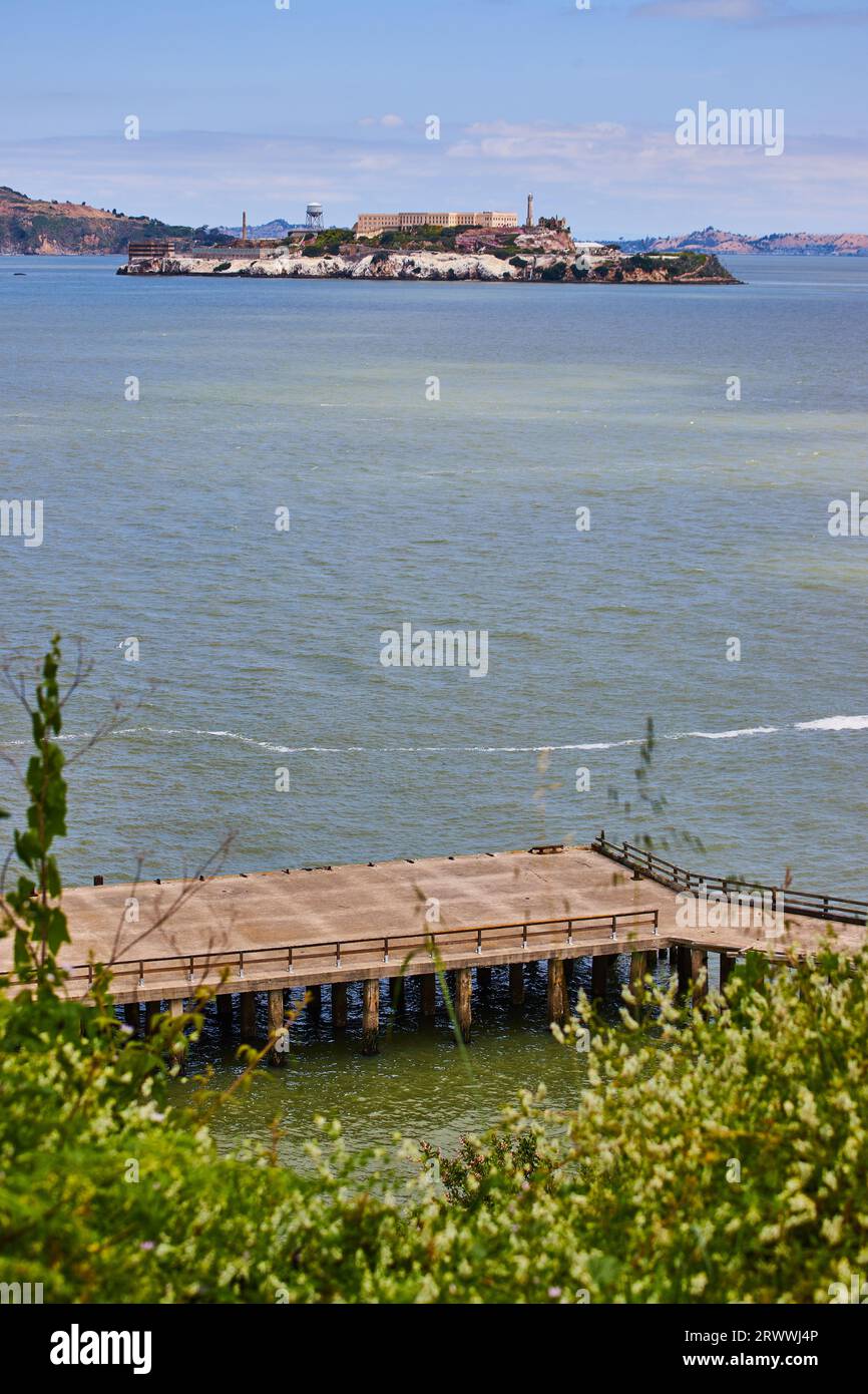 Shore view with green grass and pier below with Alcatraz island in ...