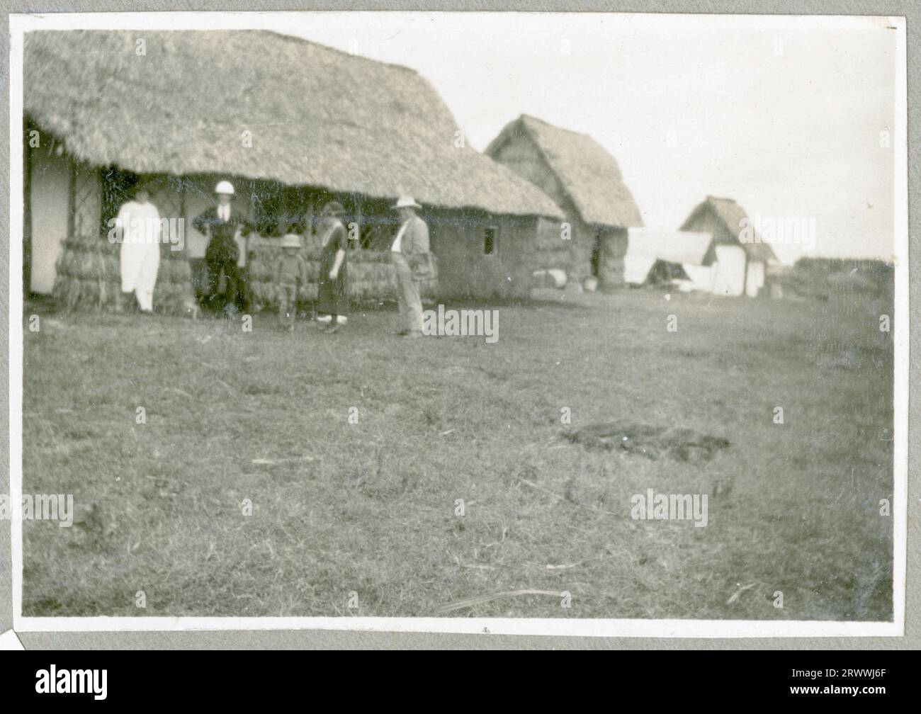 Mrs Bungey feeding bottles of milk to two antelope fawns. Original ...