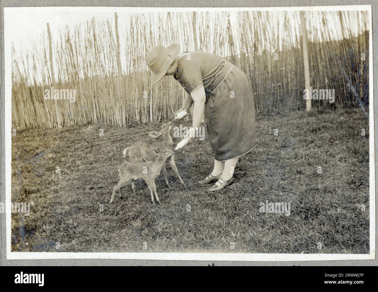 Four African "Native Industrial Training Depot" apprentices in front of ...