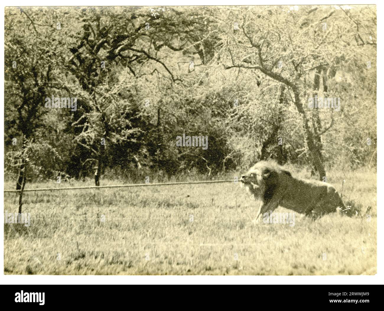 Charles Bungey stands in the garden of his home in Machakos, next to ...