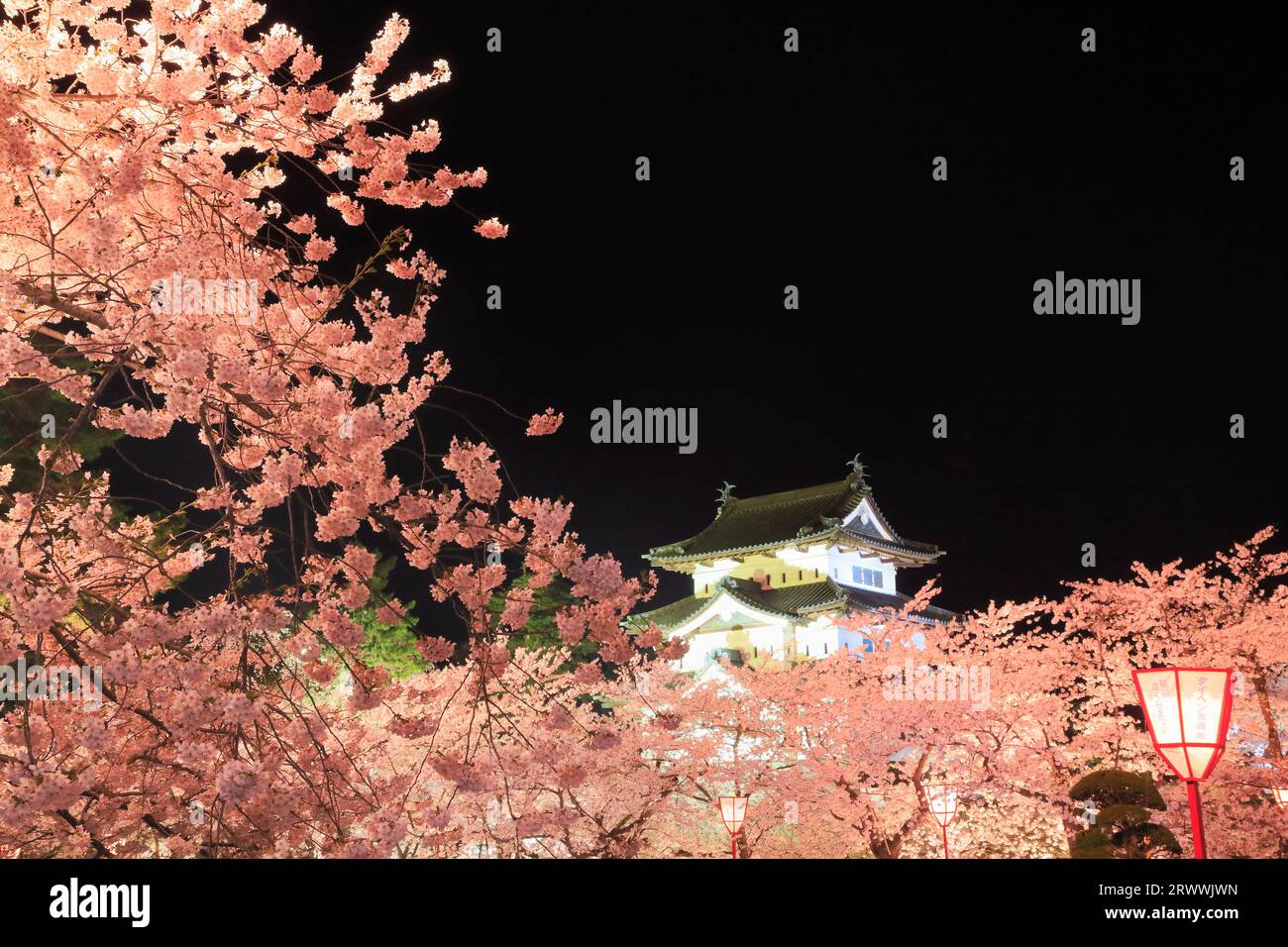 Lighted night view of Hirosaki Castle keep and cherry blossoms Stock ...