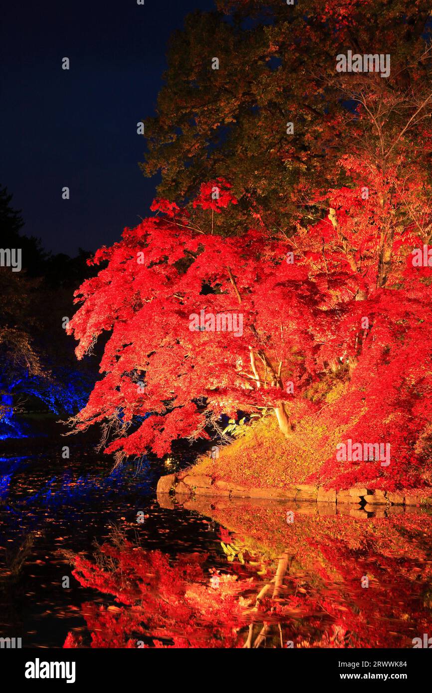 Historical park 100 selections of japanese hi-res stock photography and ...