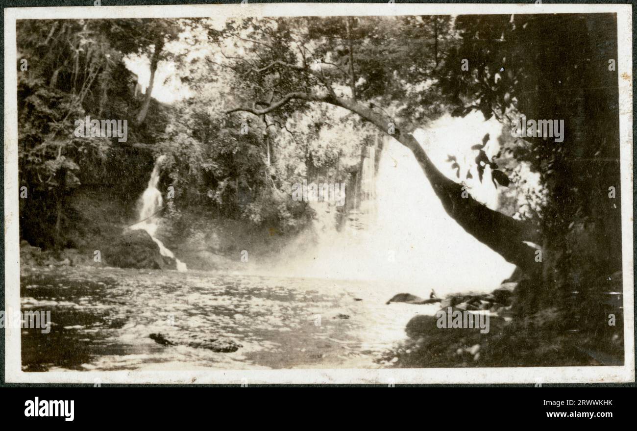 Landscape view of the River Tana taken from the bank, with overhanging ...