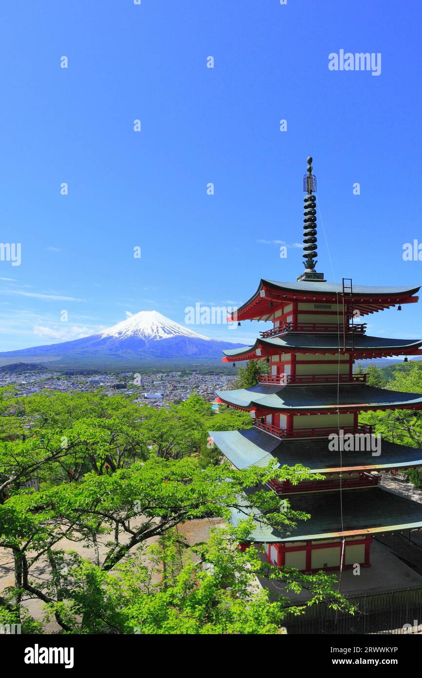 New greenery on the cenotaph in Sengen Park and Mt. Fuji Stock Photo ...