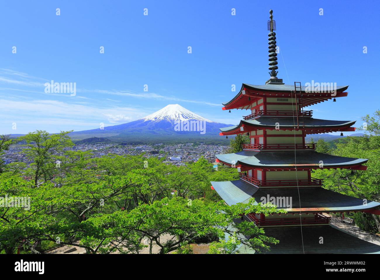 New greenery on the cenotaph in Sengen Park and Mt. Fuji Stock Photo ...