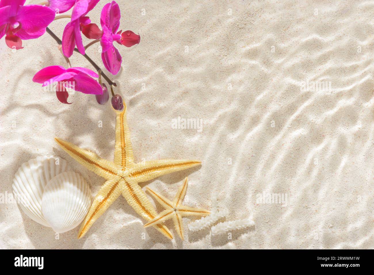 sun lights with hard shadow in wavy water on abstract sand background ...