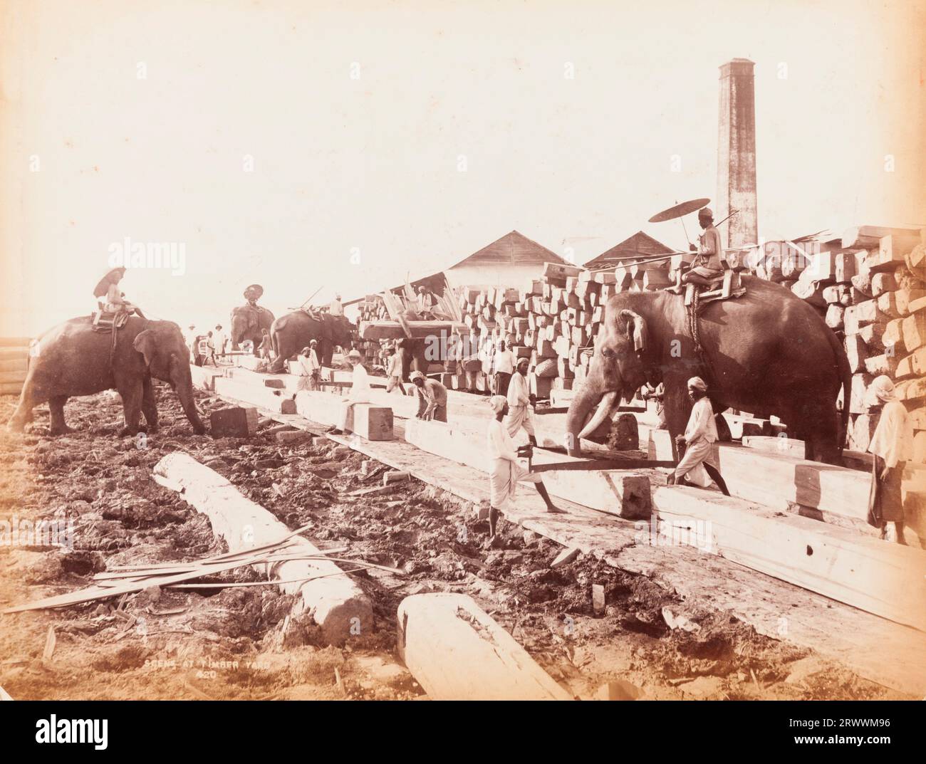 Scene shows Burmese labourers working in a timber yard. Some workers ...