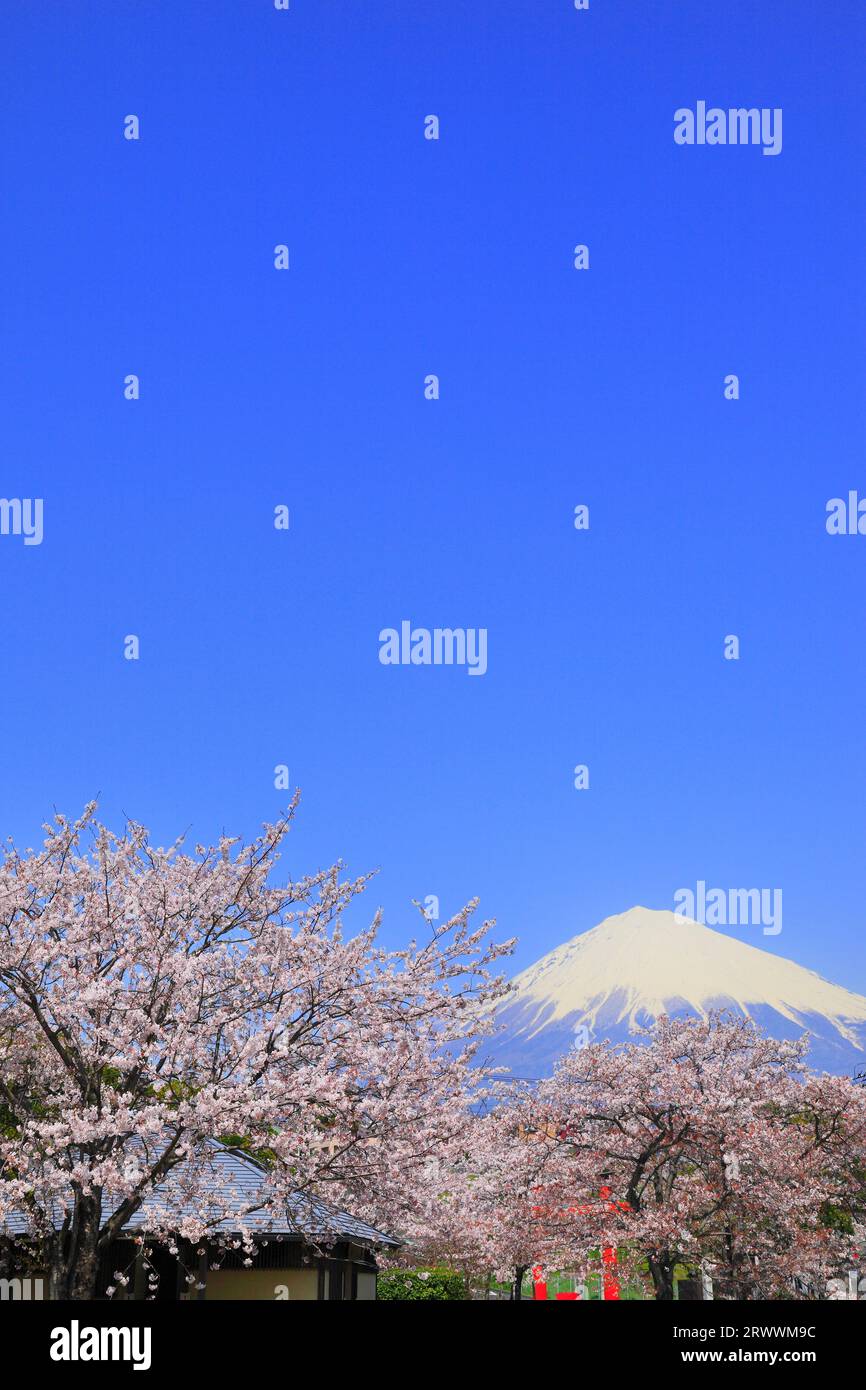 Fuji sengen shrine motomiya hi-res stock photography and images - Alamy