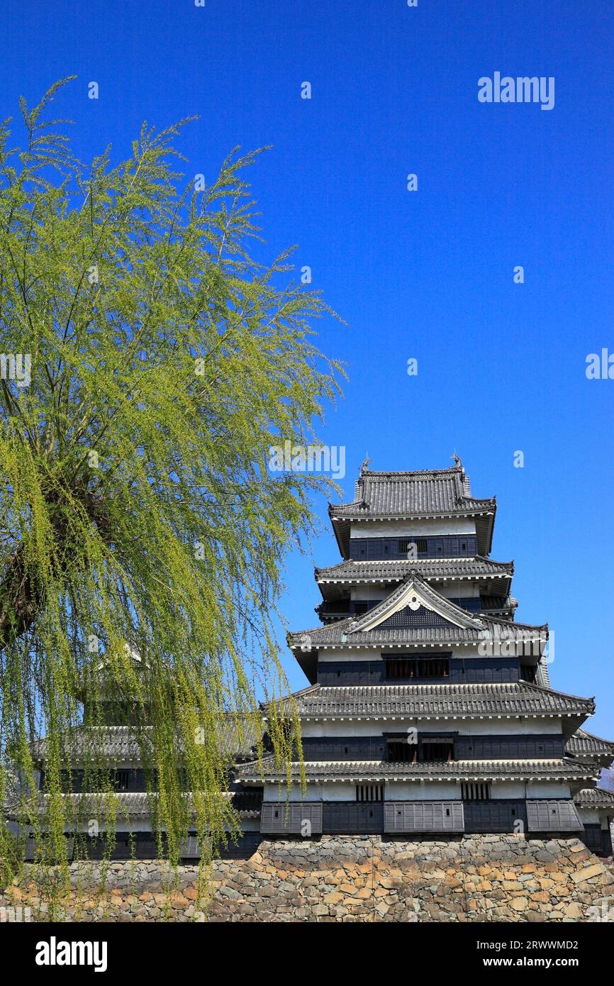 Willow tower hi-res stock photography and images - Alamy