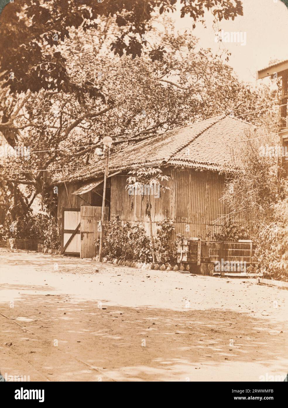 Large shade tree with pump and huts lining road. Caption reads: Road to ...