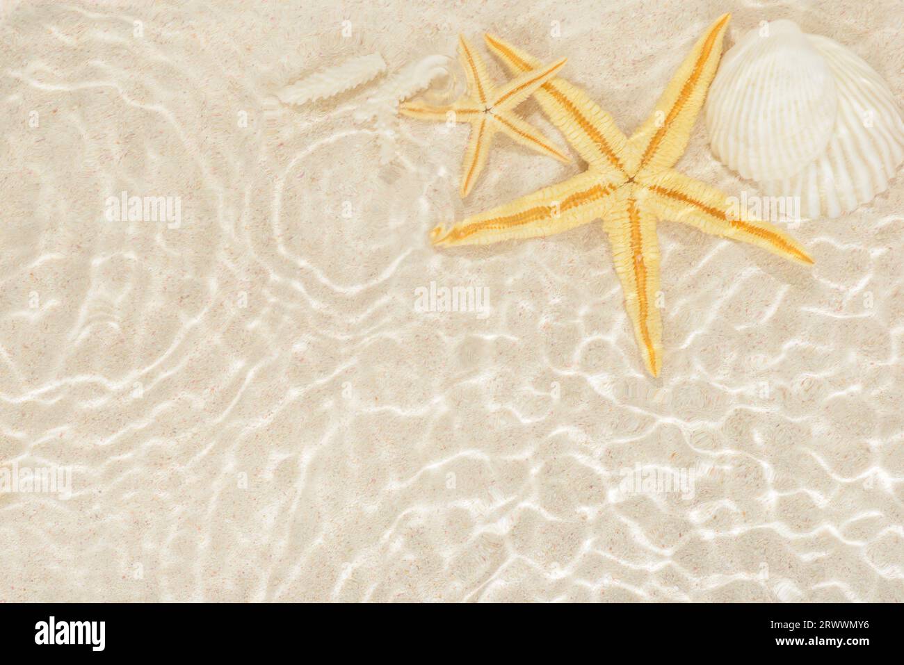 sun lights with hard shadow in wavy water on abstract sand background ...