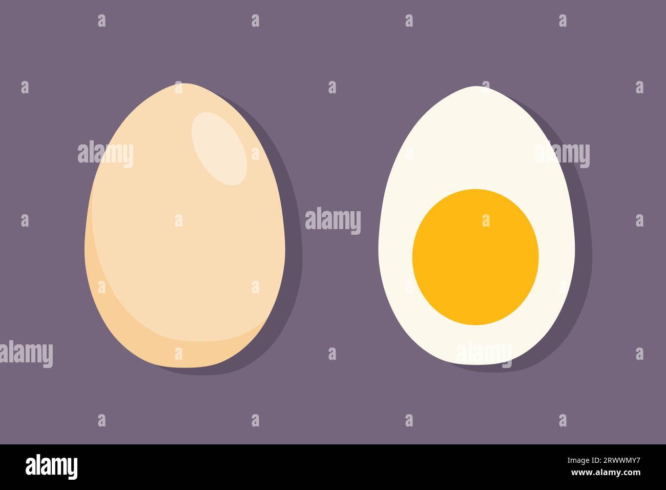 Whole egg and half of hard boiled egg. Vector illustration. Simple cartoon style egg Stock ...