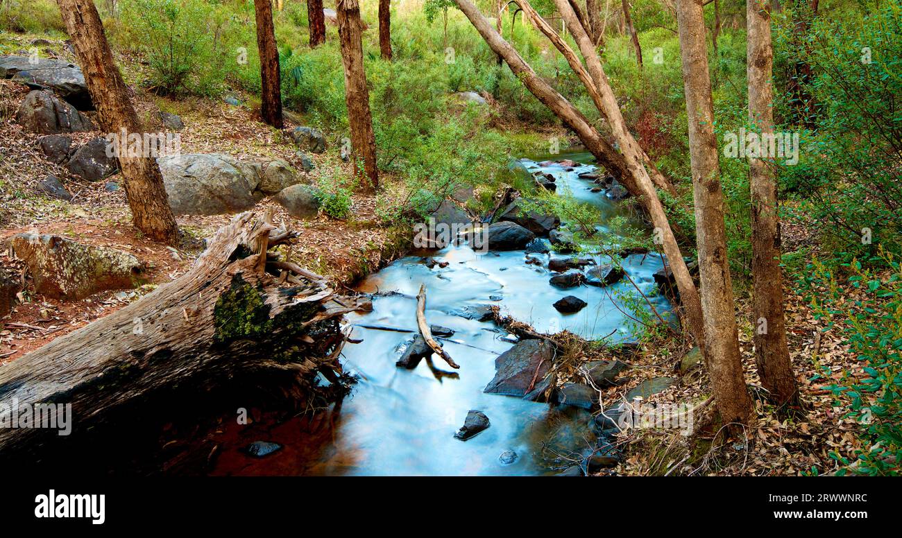 Piesse Brook in late afternoon light in the Perth Hills, Western ...