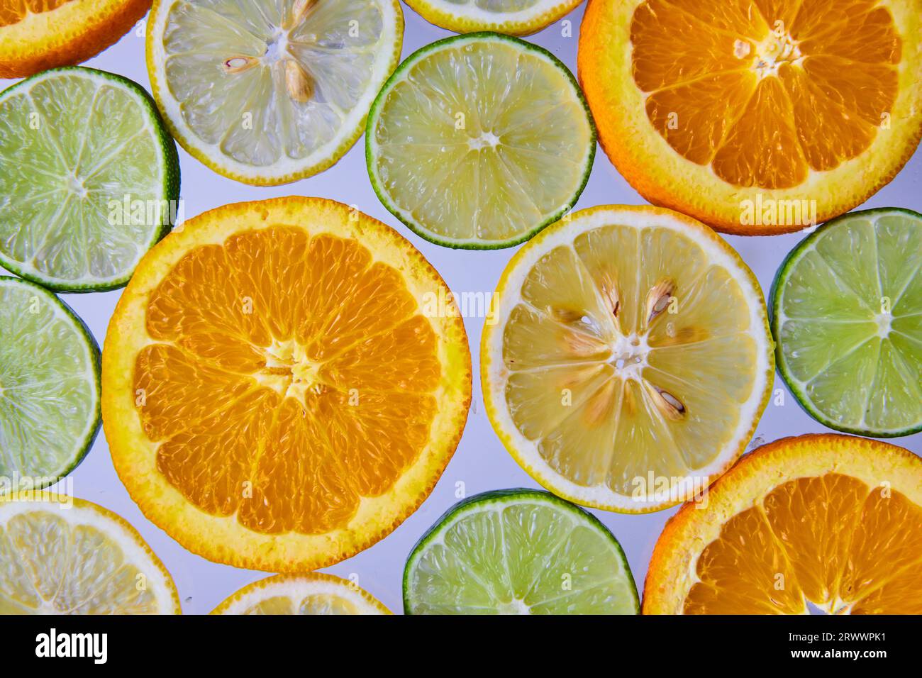 Wall of citrus fruits on white background with lemons and limes and ...