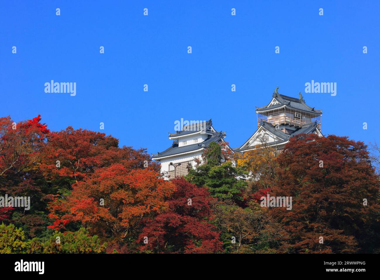 Echizen Ono Castle and Autumn Leaves at Kameyama Park Ono City, Fukui ...
