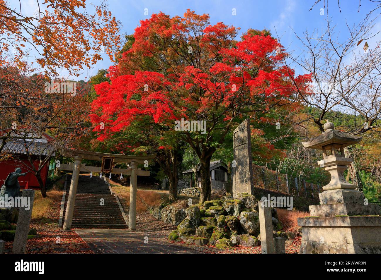 Matsuki Shrine and Autumn Leaves at Kumagawa-juku on the Wakasa Saba ...