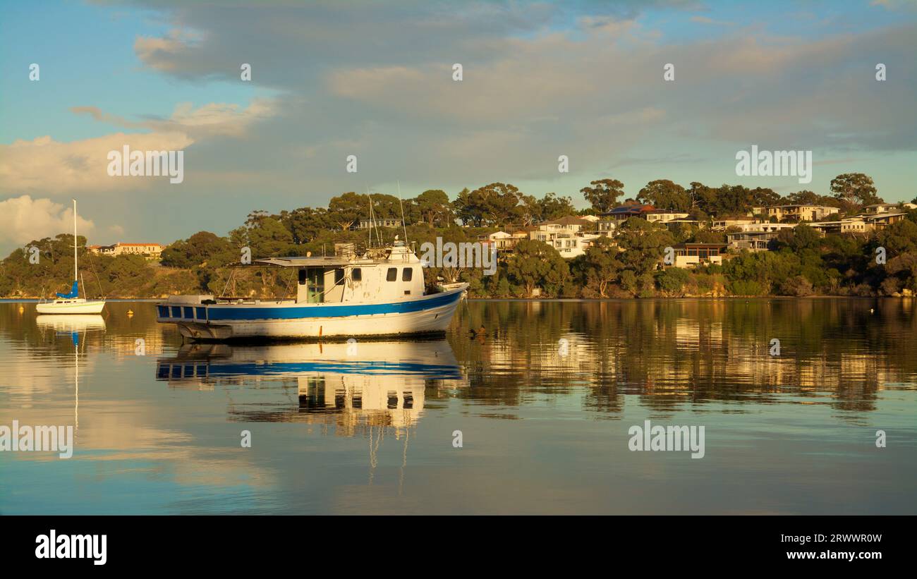 Blue swan boat hi-res stock photography and images - Alamy