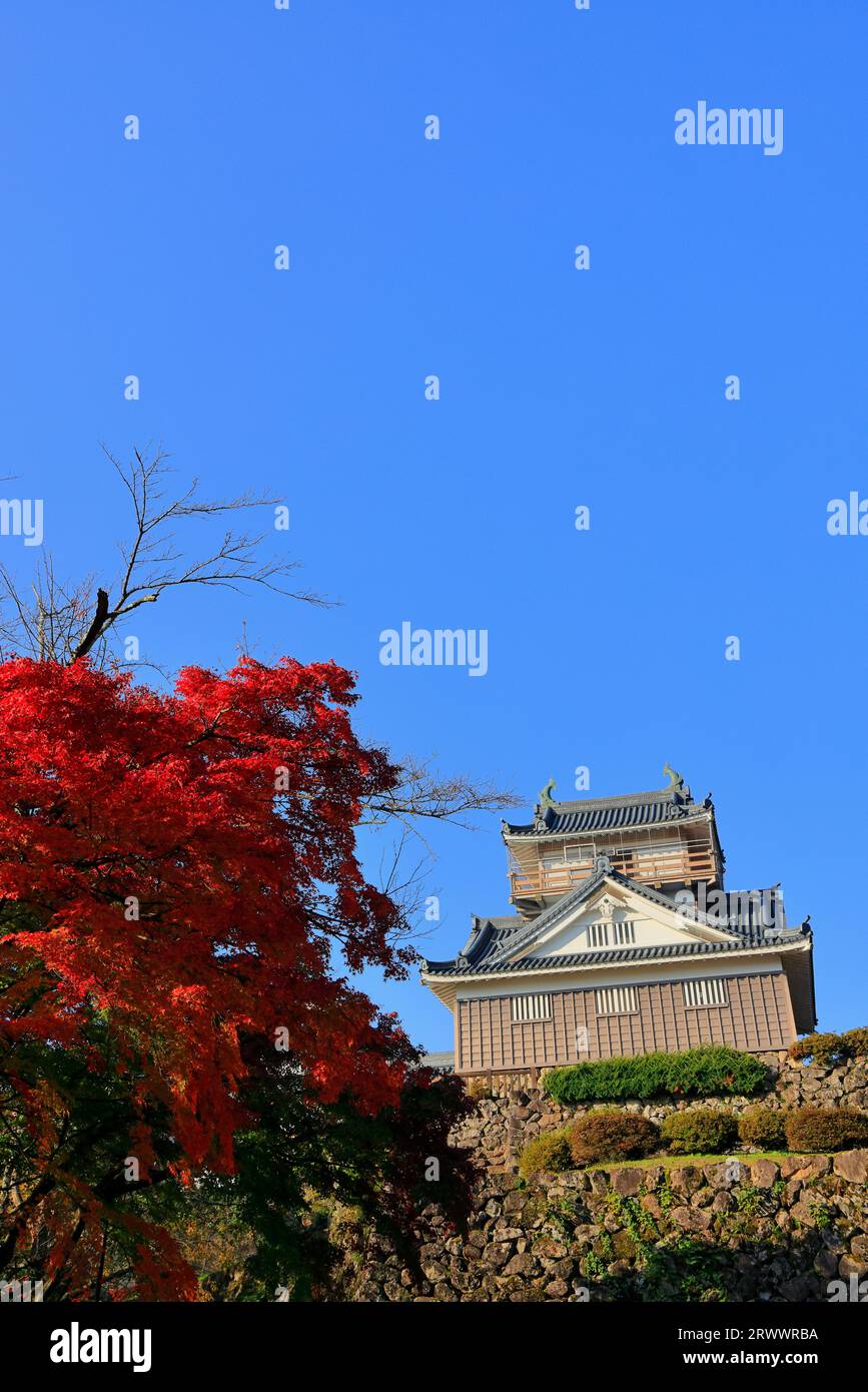 Echizen Ono Castle and autumn leaves Ono City, Fukui Prefecture Stock ...