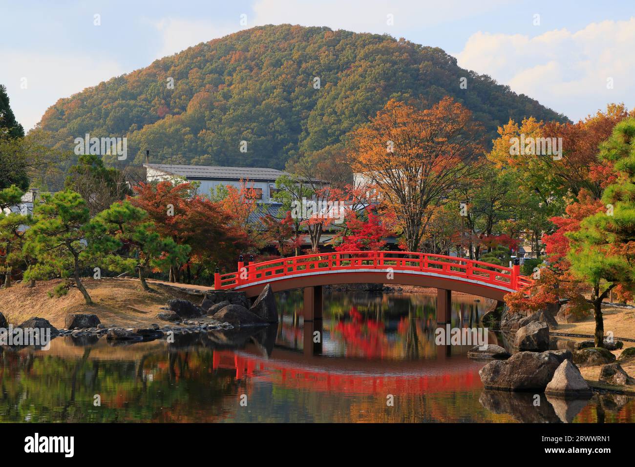 Autumn Leaves at Murasaki Shikibu Park Echizen City, Fukui Prefecture ...