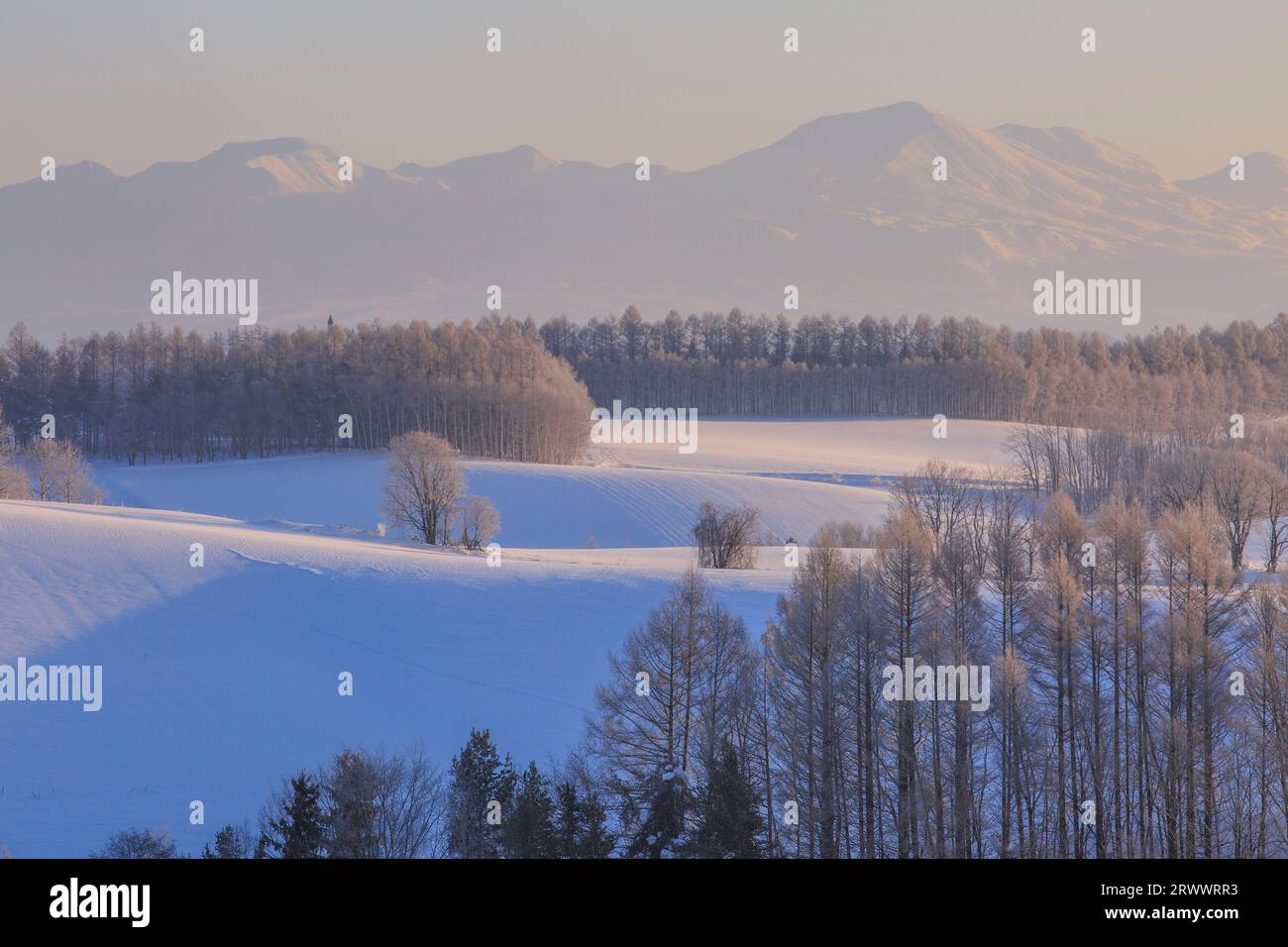 Hills of biei hi-res stock photography and images - Alamy