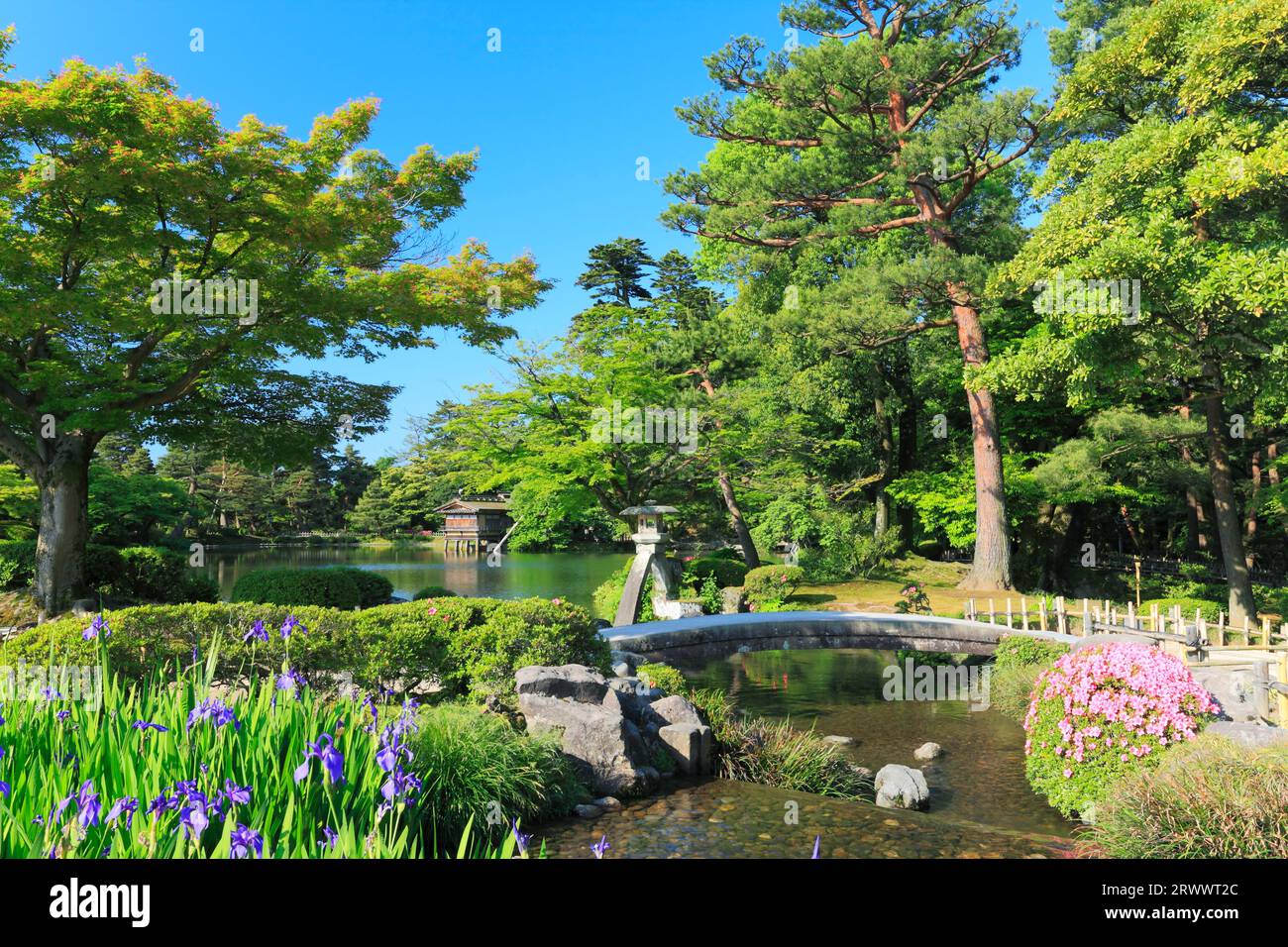 Kenrokuen garden bridge flower hi-res stock photography and images - Alamy