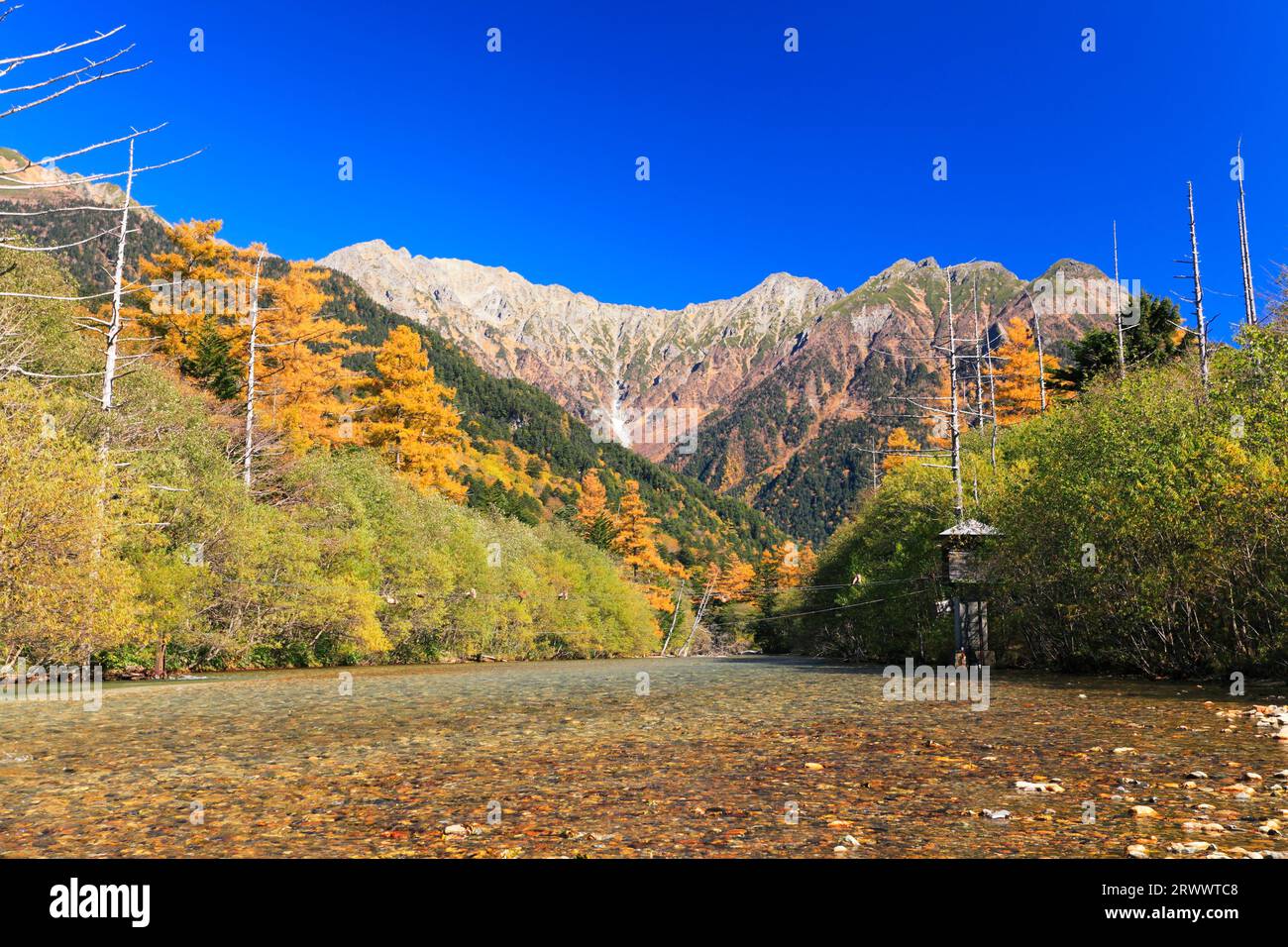 Azusa River, monkeys crossing the Azusa River, autumn leaves and the ...