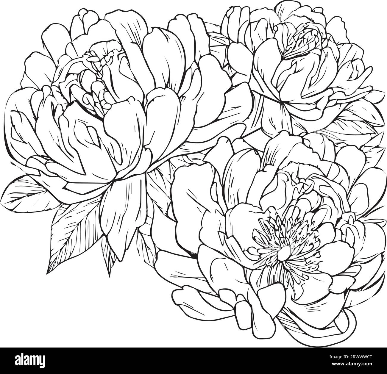Vintage paisley art Stock Vector Images - Alamy