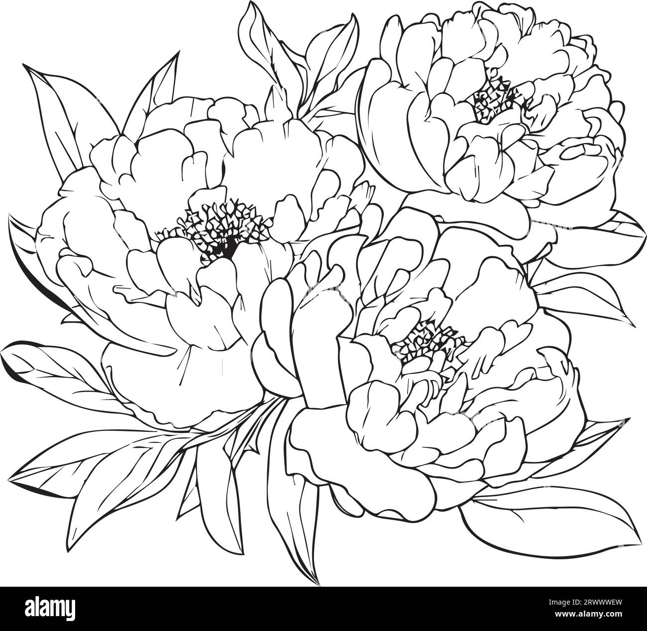 Peony embellishment hi-res stock photography and images - Alamy