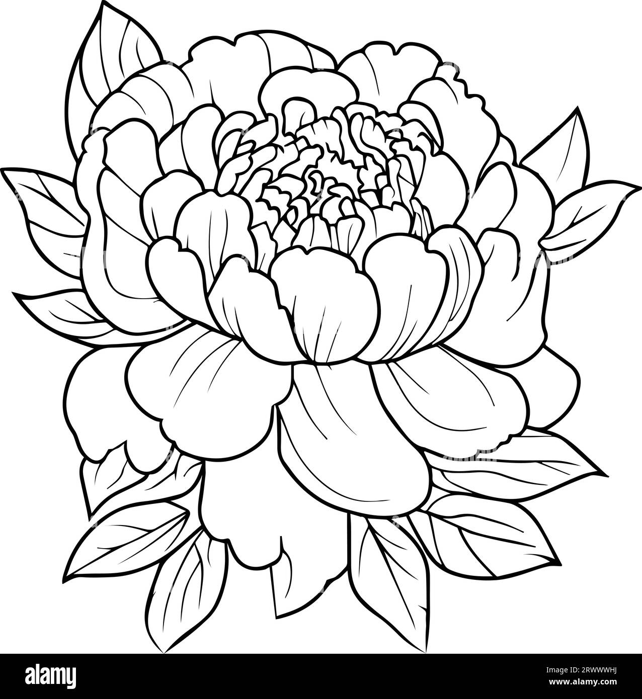 Foliage of japanese Black and White Stock Photos & Images - Alamy