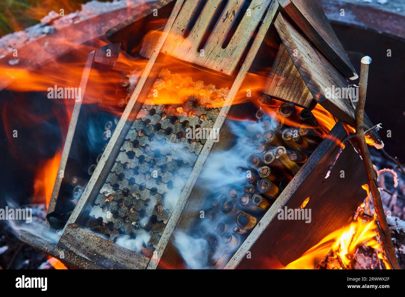 Destroyed and burning beehive metaphor for dying bees and nature Stock ...