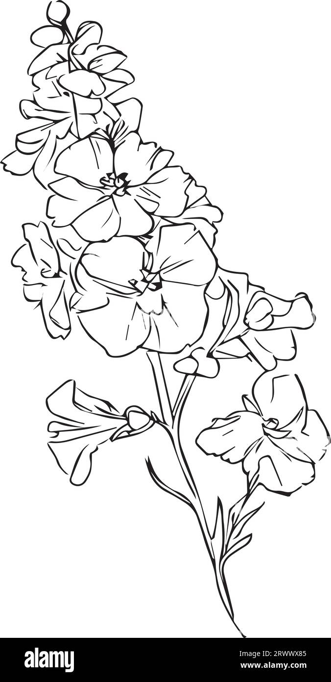 Larkspur wall art hi-res stock photography and images - Alamy