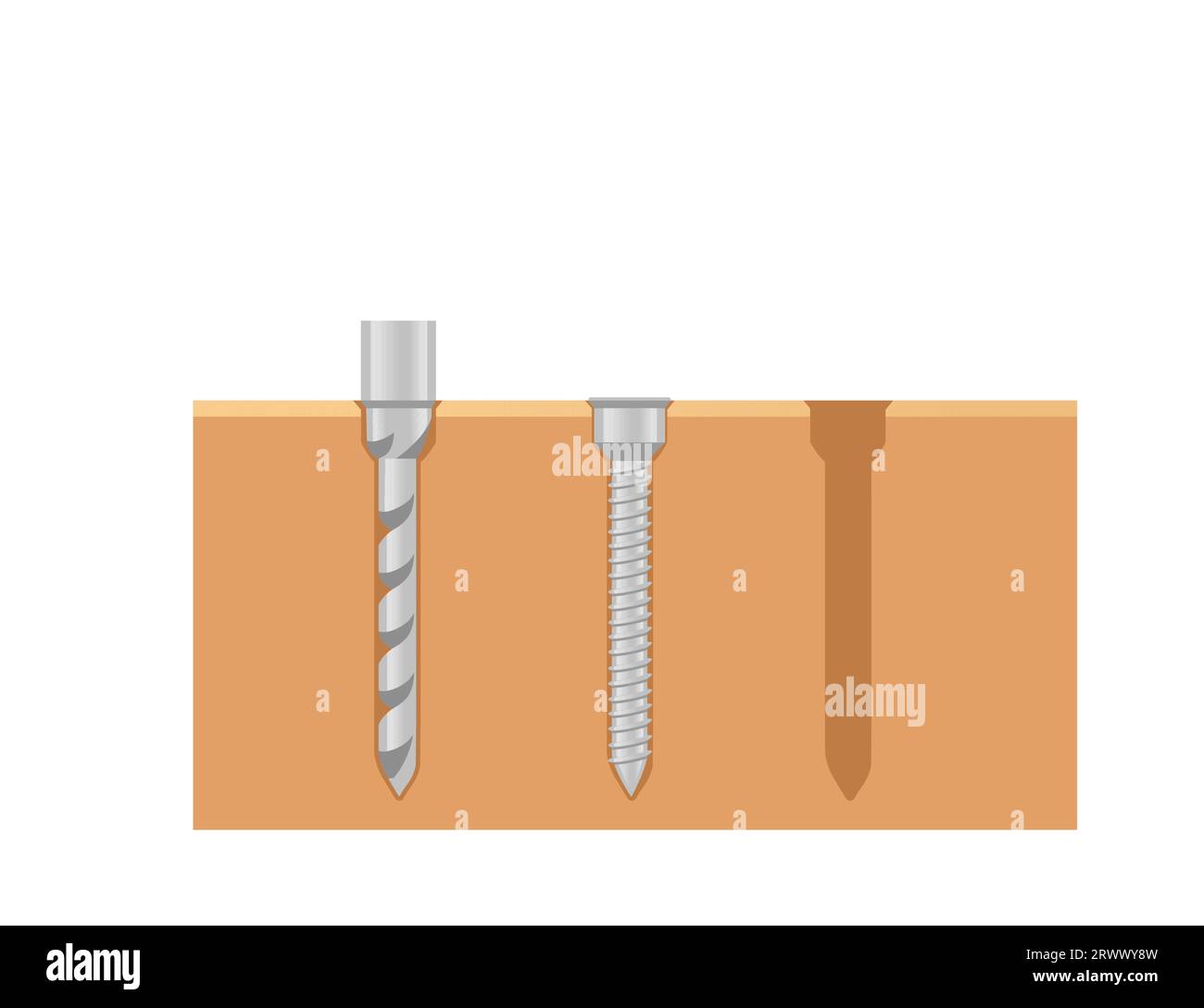 Screw in wooden plank cutaway vector illustration isolated on white ...