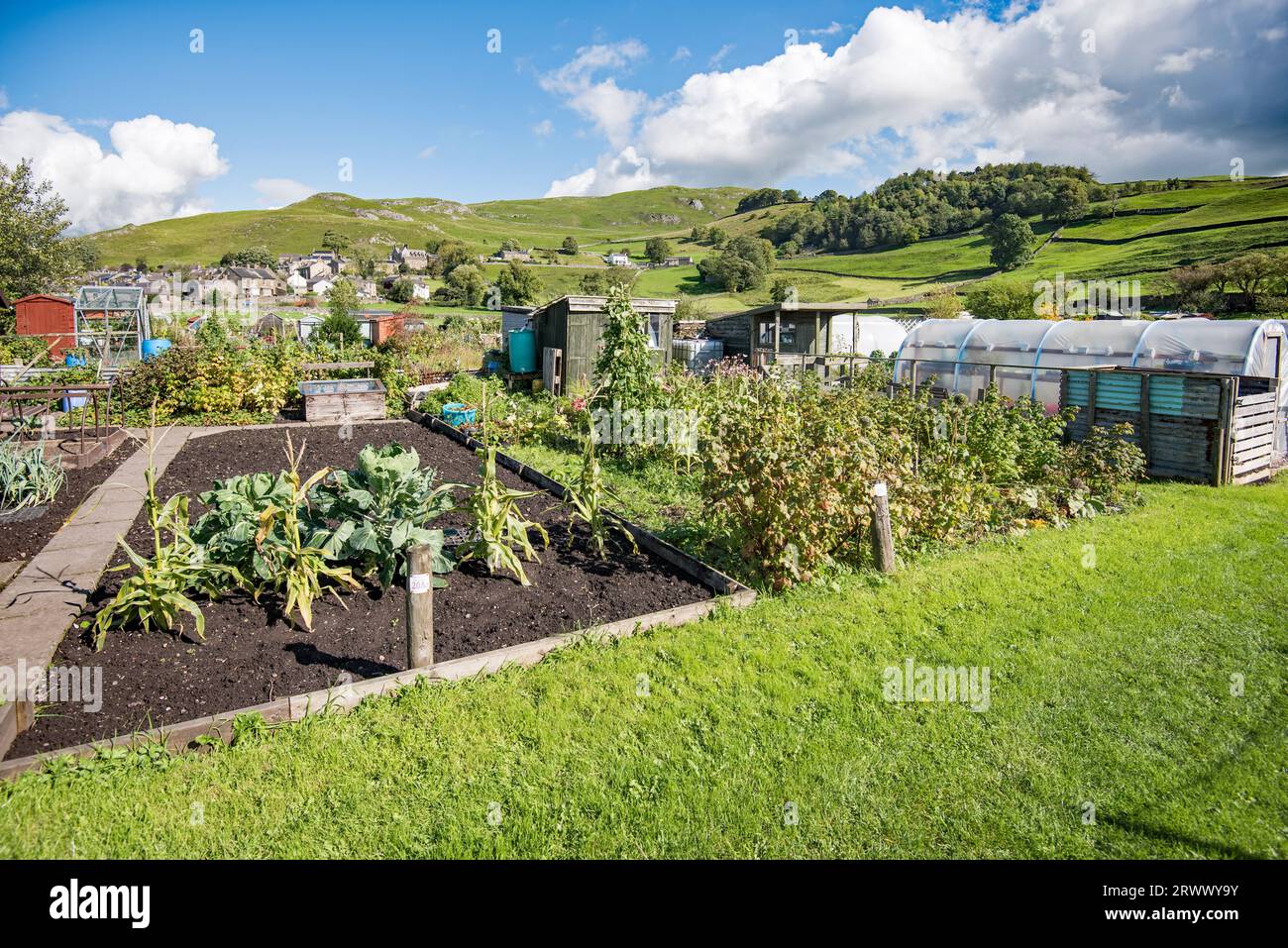 Dog Meadow allotments in Settle North Yorkshire with an assortment of ...