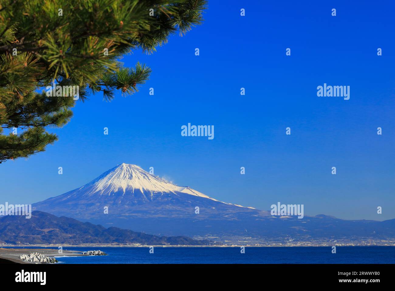 Mt. Fuji in clear sky from Miho Pine Plain Stock Photo - Alamy