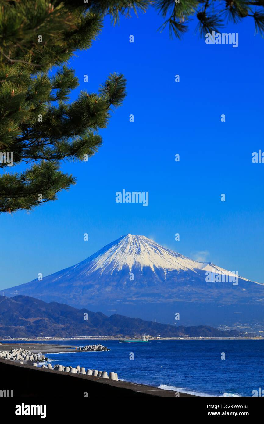 Mt. Fuji in clear sky from Miho Pine Plain Stock Photo - Alamy