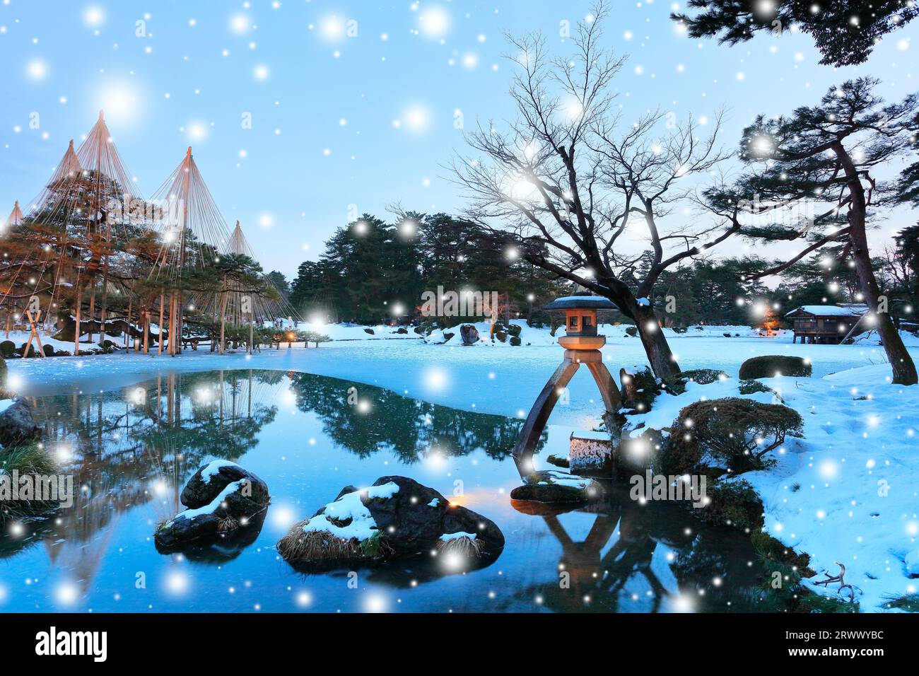 Snow Falling from Karasaki Pine at Kenrokuen in winter, Hokuriku ...