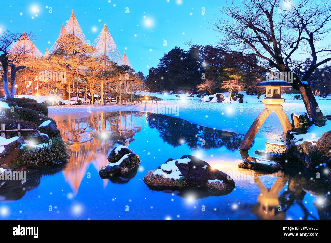 Snow Falling from Karasaki Pine at Kenrokuen in winter, Hokuriku ...