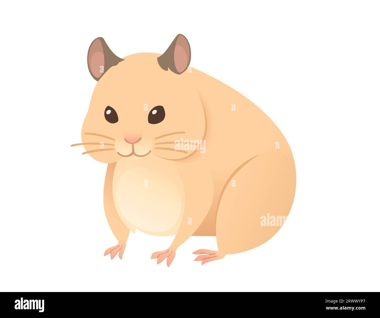 Light brown hamster cute cartoon animal design vector illustration ...