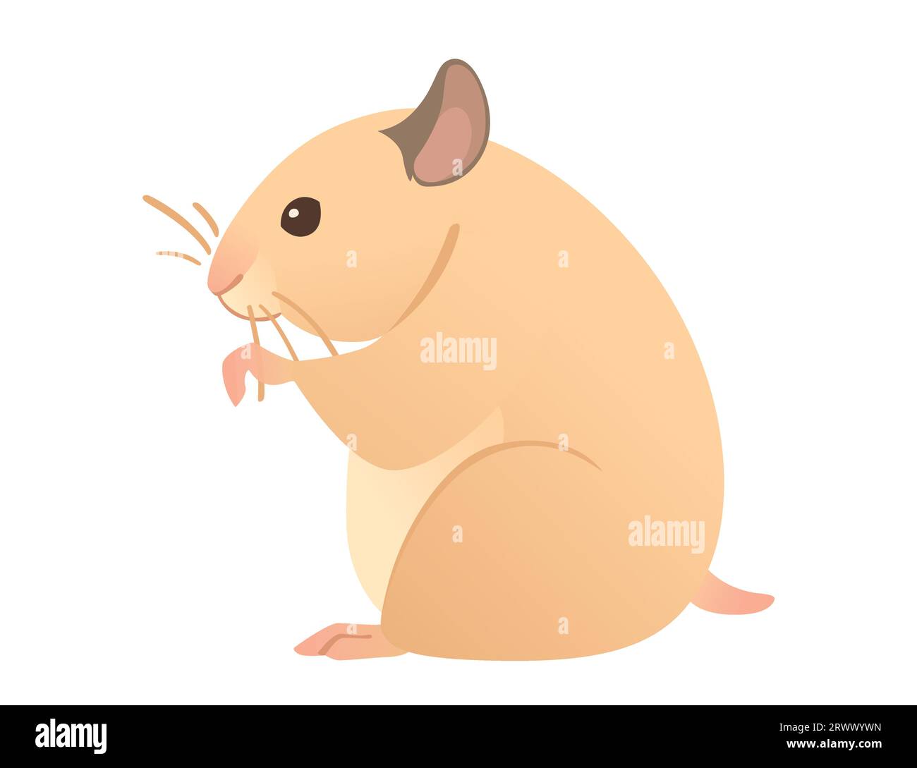 Light brown hamster cute cartoon animal design vector illustration ...