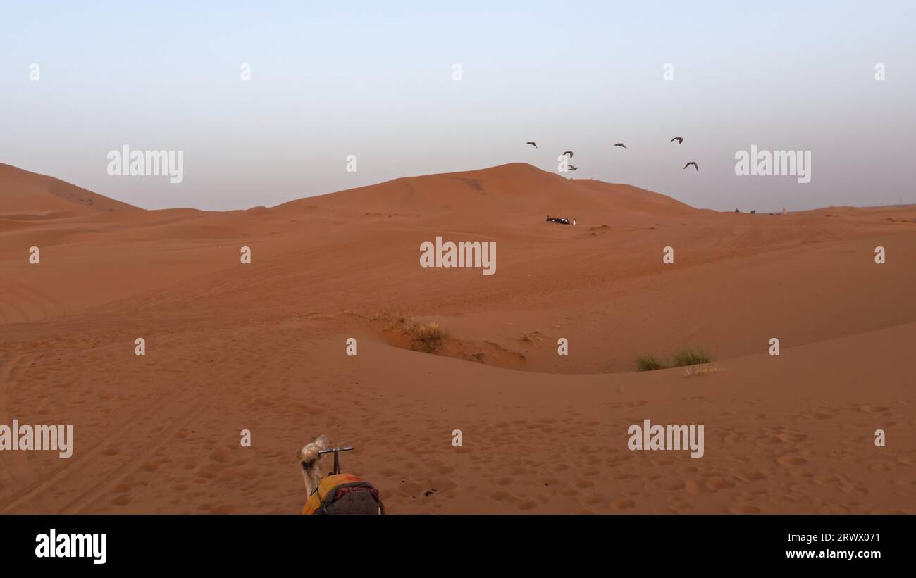 Travel to Morocco Stock Photo - Alamy