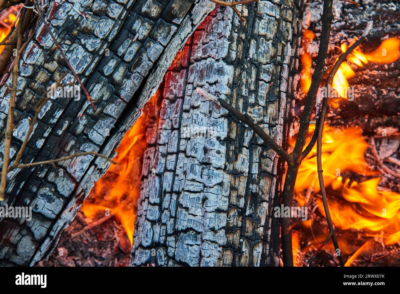 Close up detailed view of two ashen logs with tiny orange and yellow ...