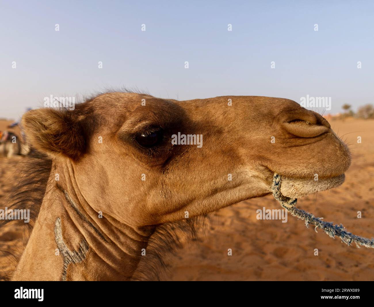 Travel to Morocco Stock Photo - Alamy