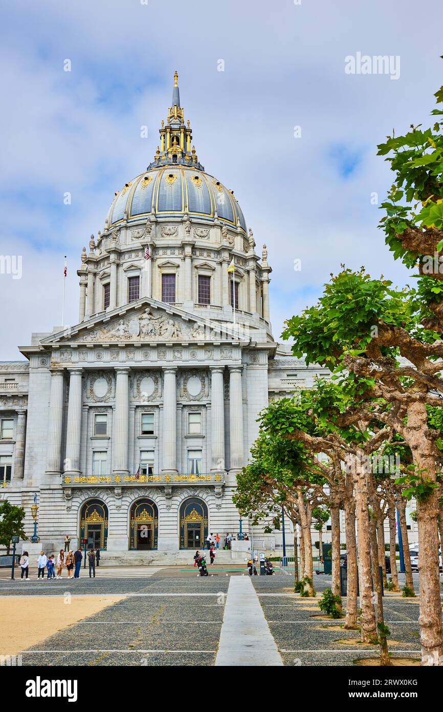 City hall rows trees hi-res stock photography and images - Alamy