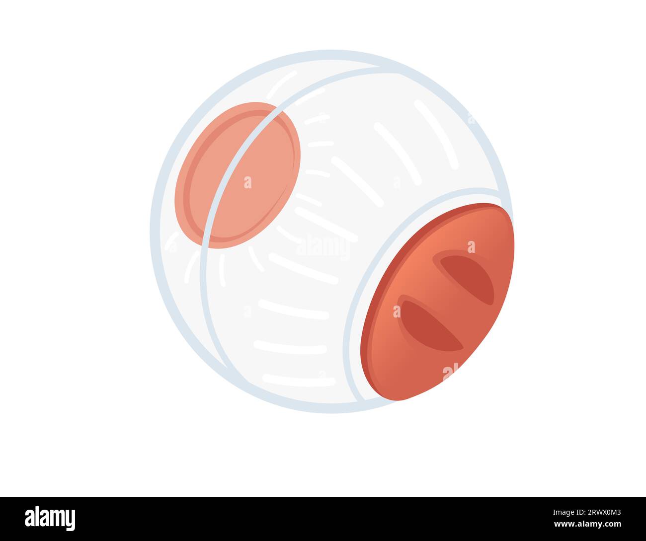 Hamster Ball Clipart