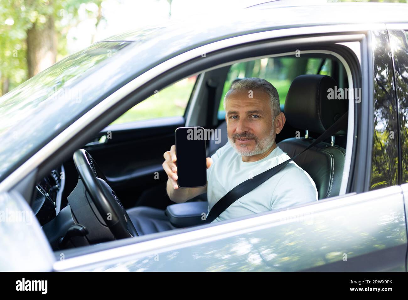 Mobile app for car rental, car parking. Cheerful businessman sitting in ...
