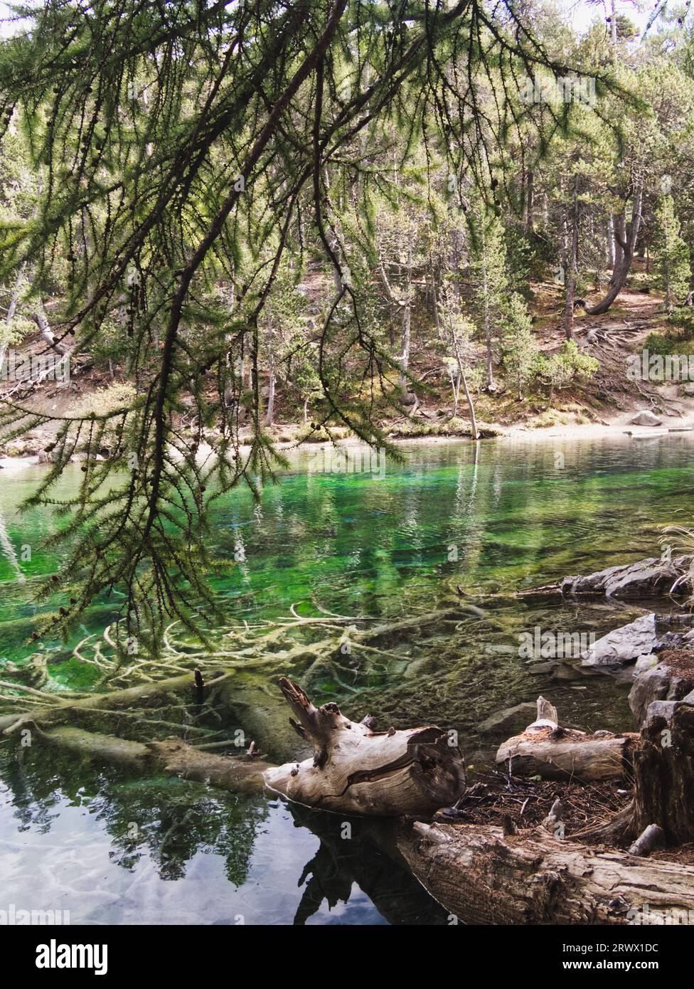 Lago verde hi-res stock photography and images - Alamy