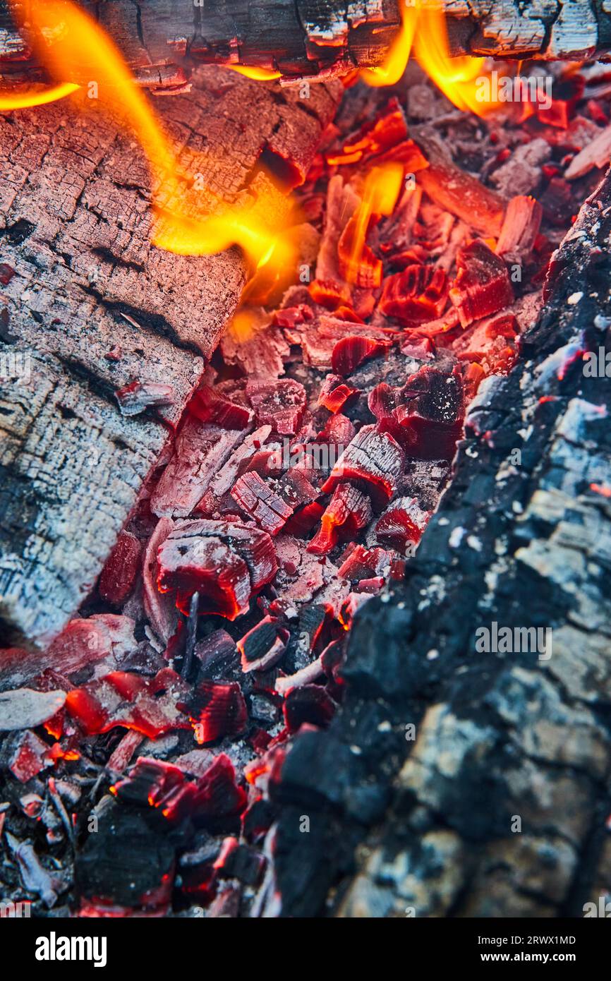 Macro view burning red embers with blackened logs and white ashes ...